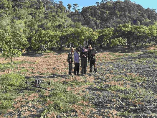 Magnetic Anomaly Drone Drone Total Field Magnetometer UAV Magnetic ...